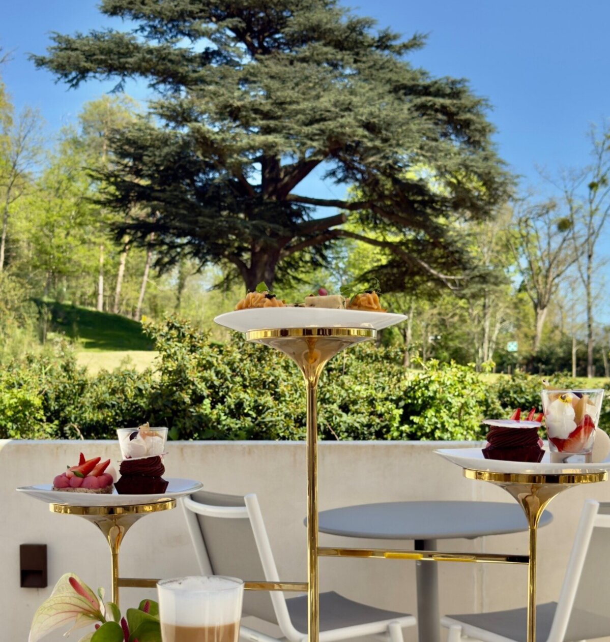 Bon cadeau Tea Time Gourmand avec vue sur notre Cèdre bicentenaire ...